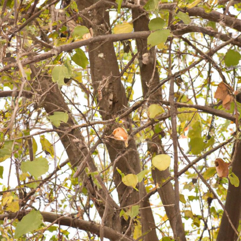 Identify Your Trees: A Comprehensive Guide – Garden Plants Pro