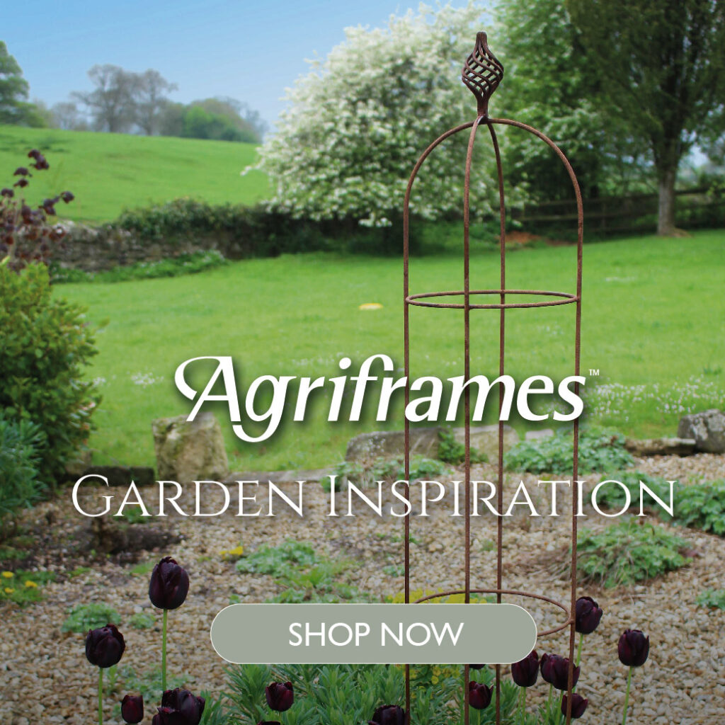 Garden Plants Pro – Your Expert Guide to Garden Plants